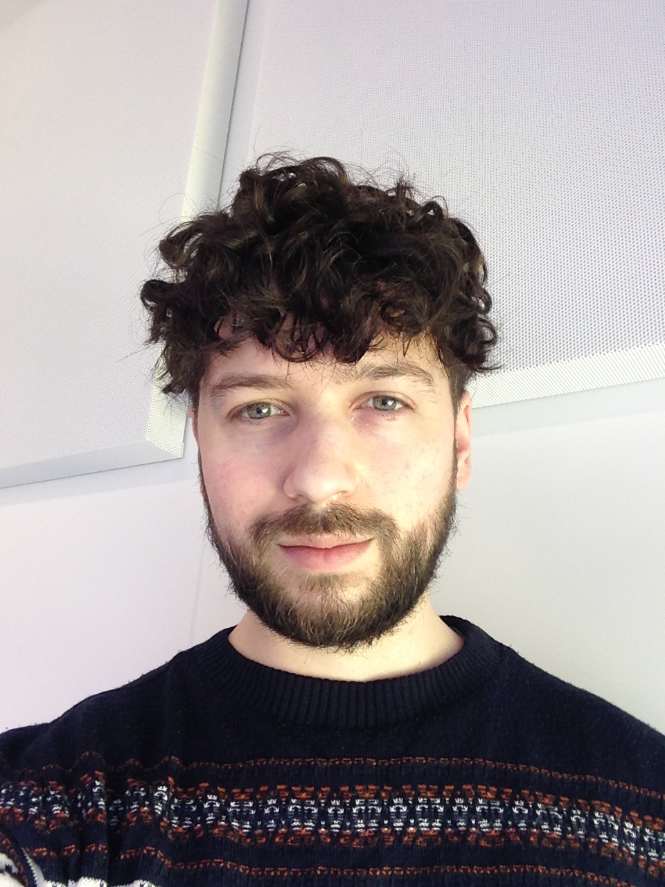 Adam Piotrowski : Travailler ici et ailleurs : Une analyse des ...